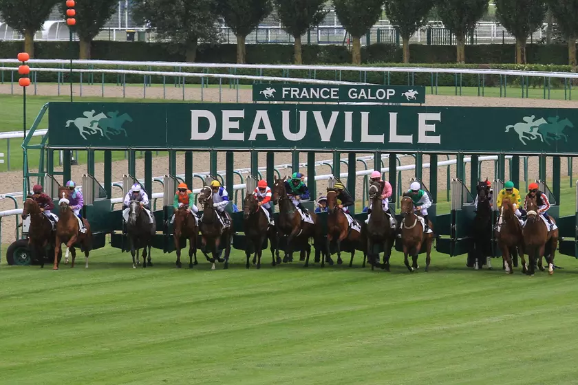 Quinté Le Quinté De Dimanche 15 Août Vu Par Les Statistiques Equidia