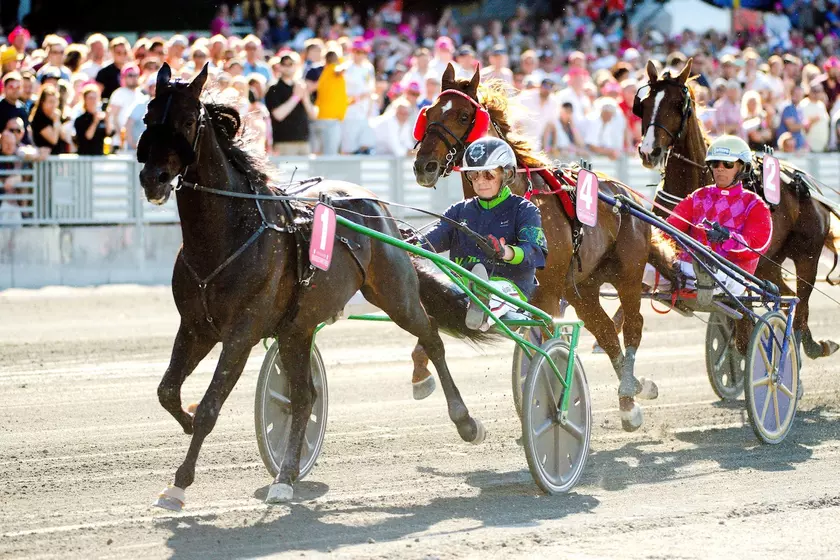 Ringostarr Treb se balade dans le Sundsvall Open Trot | Equidia