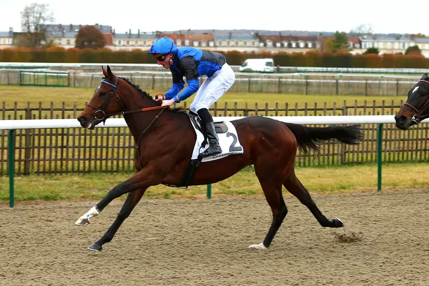 Quinté Du Jeudi 4 Juin à Clairefontaine Qh Hubo Peut S Affirmer Dans