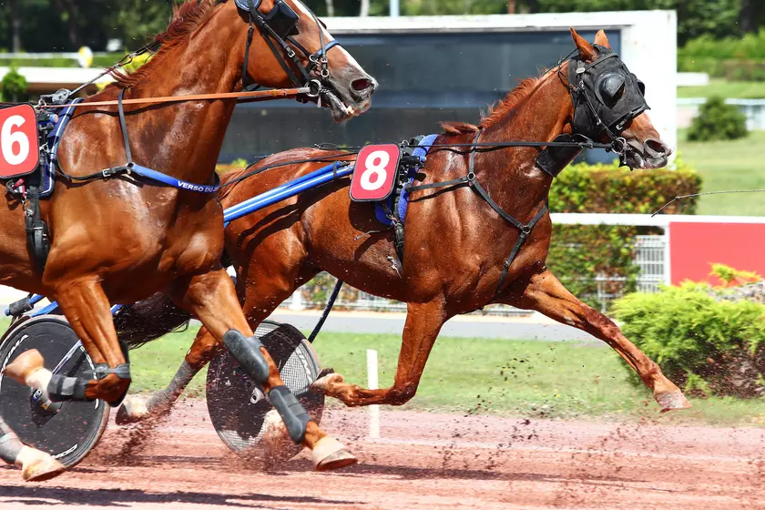 Les courses à ne pas manquer du mercredi 7 juillet | Equidia