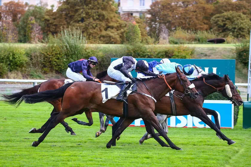 Quinté+: Arrivée du Quinté à Auteuil : Vic Royal offre un premier ...