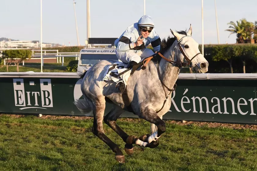 Tour de cour pour Cagnes-sur-Mer : les Bretons débarquent ! | Equidia