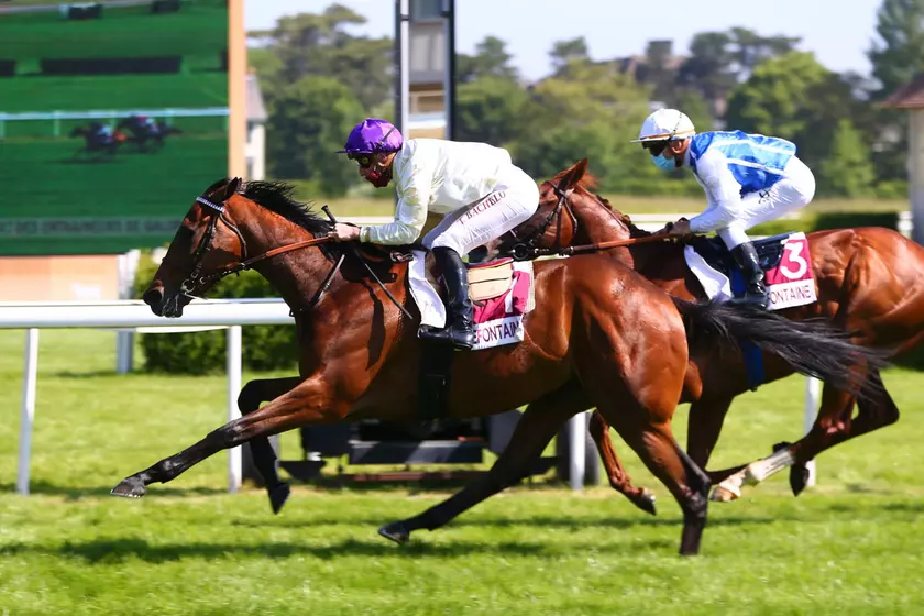 Quinté Le Quinté Du Dimanche 21 Août Vu Par Les Statistiques Equidia