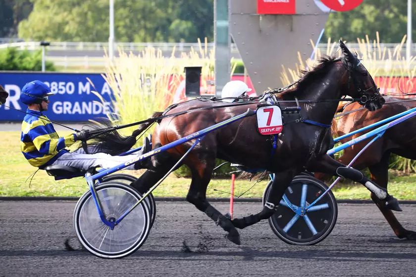 Hokkaido Jiel Au Départ Du Prix D Amérique Races Zeturf Q1 Prix De