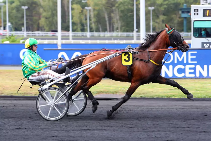 Fiona_furioza xxx i have seen her advertisements for quite