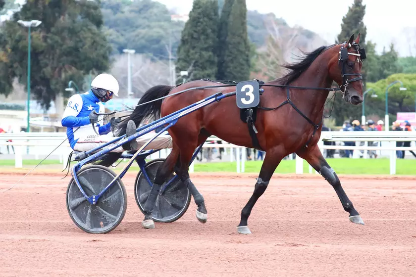 Cokstile remporte l'International Trot, Etonnant doit s'avouer vaincu ...