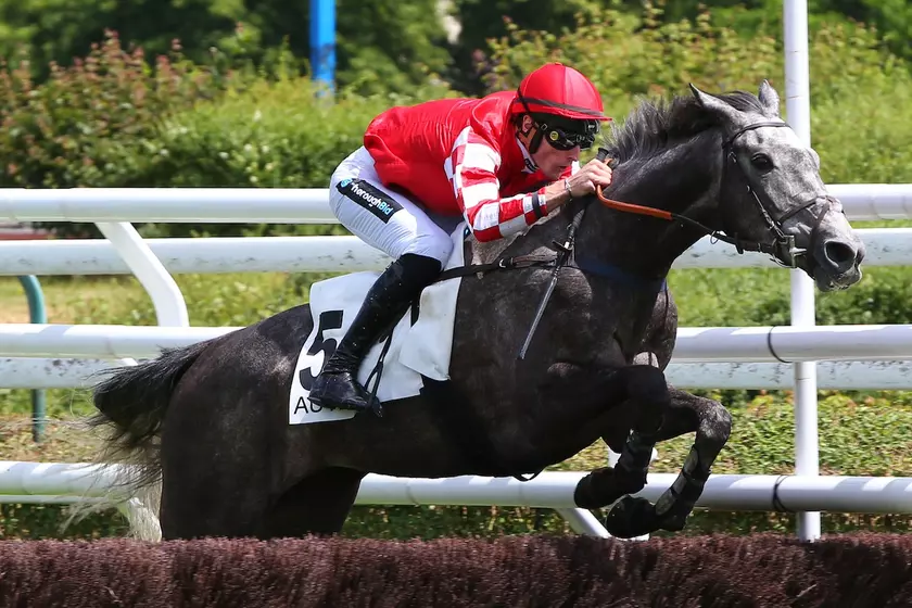Samedi à Dieppe - Grand Steeple-Chase : analyse et conseil de jeu | Equidia