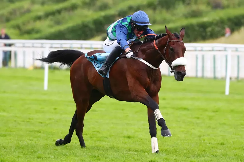 Quinté+: Sel Jem remporte le Grand Steeple-Chase de Paris, le Quinté ...