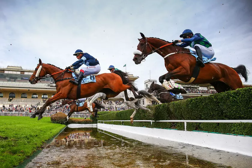 Les 5 légendes de l'obstacle par Alexandre Léger | Equidia