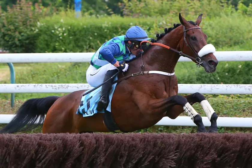 Grand Steeple-Chase de Paris 2025 : Sel Jem supplémenté | Equidia