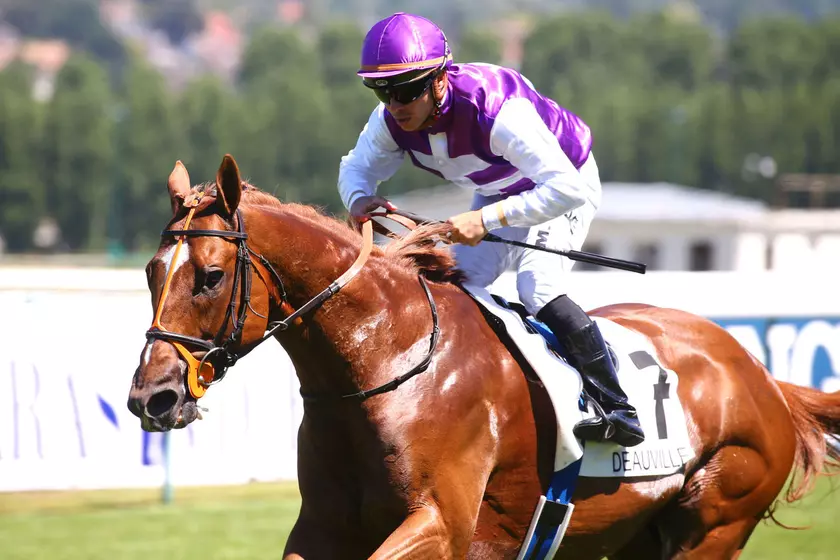 Quinté+: Track Test Quinté+ du lundi 15 août : Indyco et les autres ...