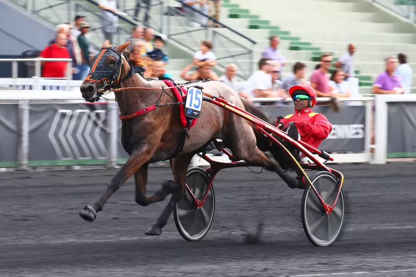 Favori/outsider : Qui jouer dans les finales Sulky Word Cup ce dimanche ...