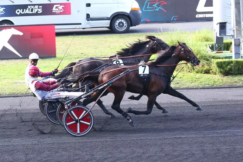 Critérium 4 ans-Q4 - Prix Gaston Brunet : Idao au galop, Izoard battu ...