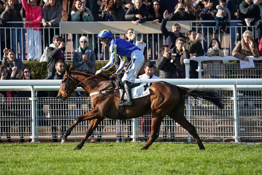 Hugo Mérienne : "Tous les feux sont au vert pour St Donats" | Equidia