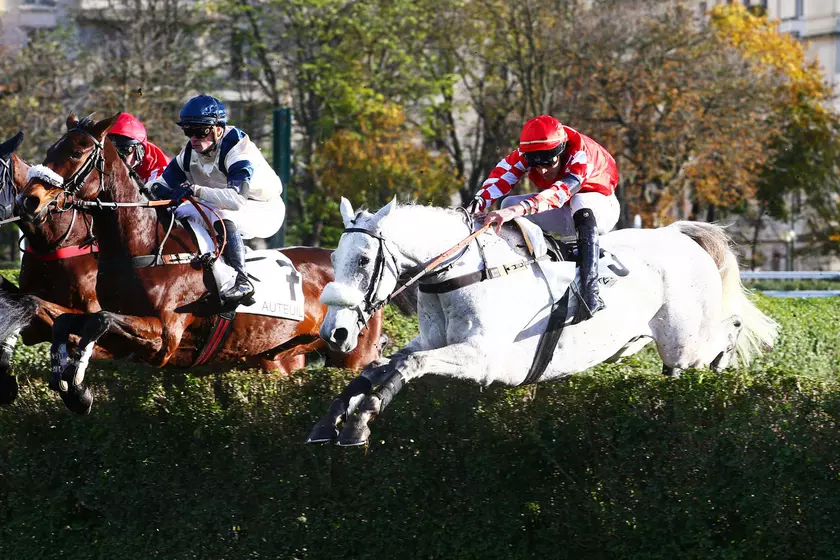 Quinté+: Retour gagnant à Auteuil pour Harry Conti dans le Quinté+ du ...