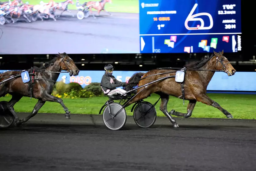 Quinté Gibus Peut Voir Triple Dans Le Quinté De Ce Vendredi 7 Avril