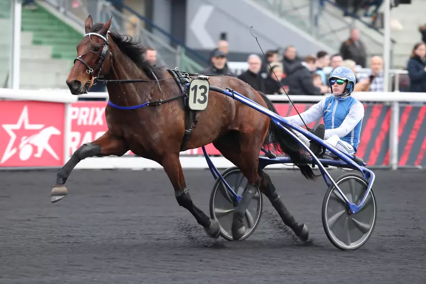 Quinté Joconde Sibey L Outsider Séduisant Du Quinté De Ce Samedi 4
