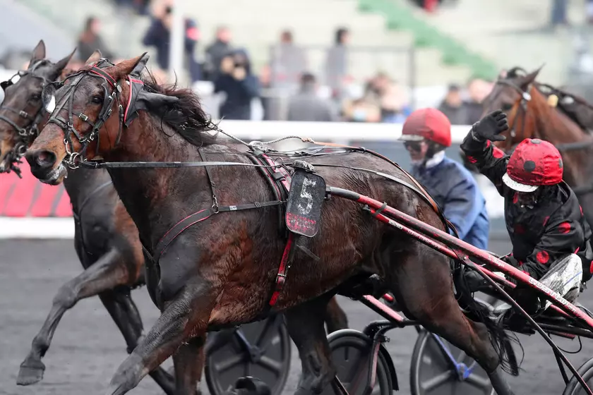 Quinté+: Sylvain Roger : "On va voir ce dimanche si Délia du Pommereux ...