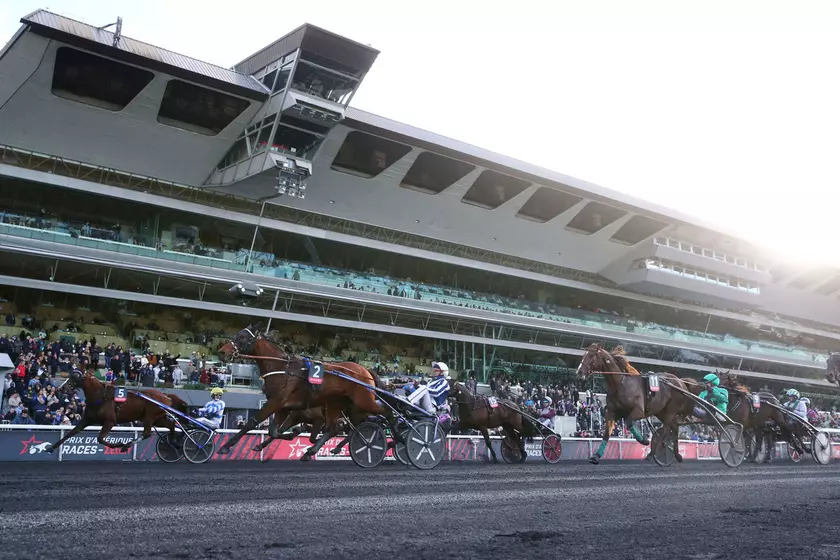 Quinté+: Les infos qu'il ne fallait pas manquer cette semaine sur le ...