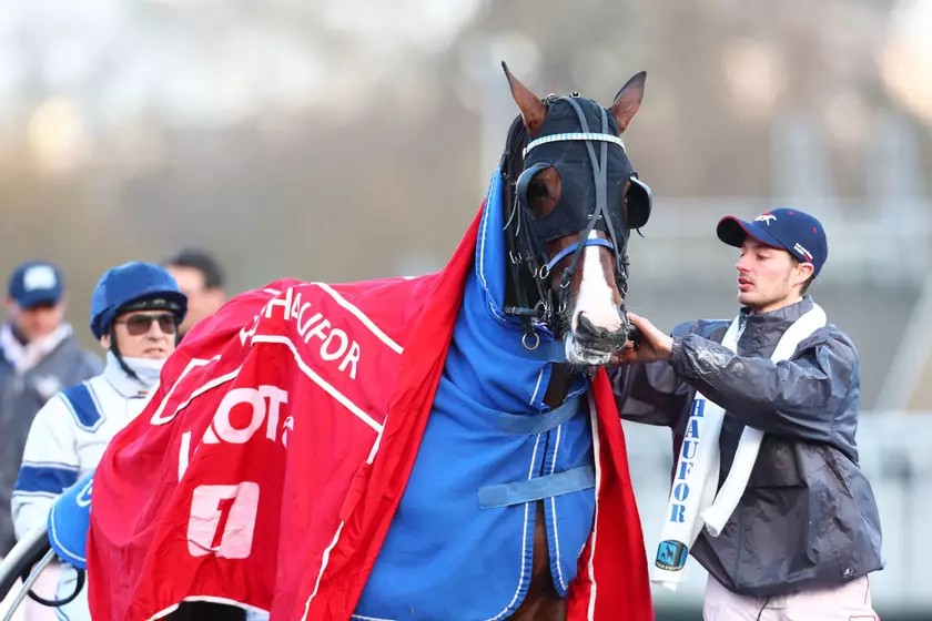 Christian Bigeon : " Une course rythmée ne va pas désavantager Hip Hop ...