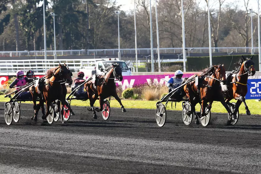 Les engagés du Prix de Paris - Amérique Races PMU - Marathon Race | Equidia