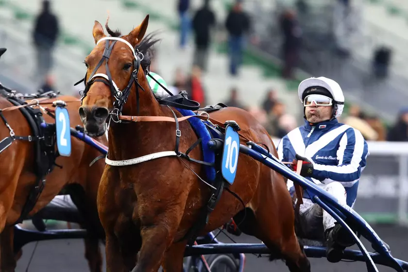Éric Raffin ne drivera pas Horsy Dream dans l'Elitlopp | Equidia