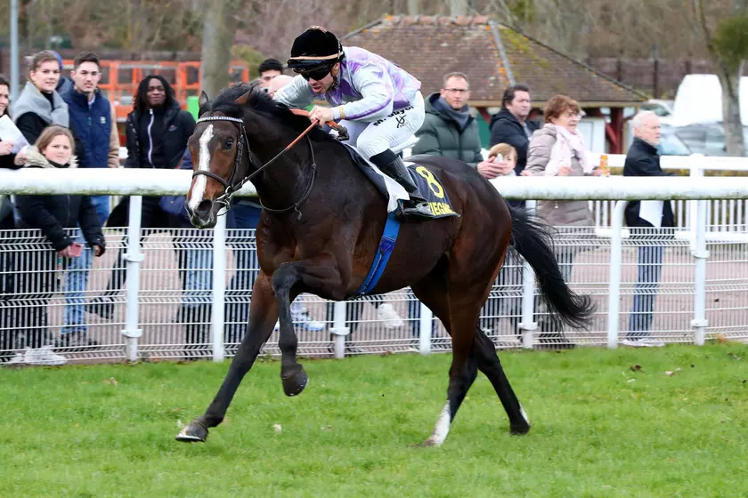 Quinté+: Quinté+ du mercredi 7 février : Mr Cassiope retrouve le gazon ...