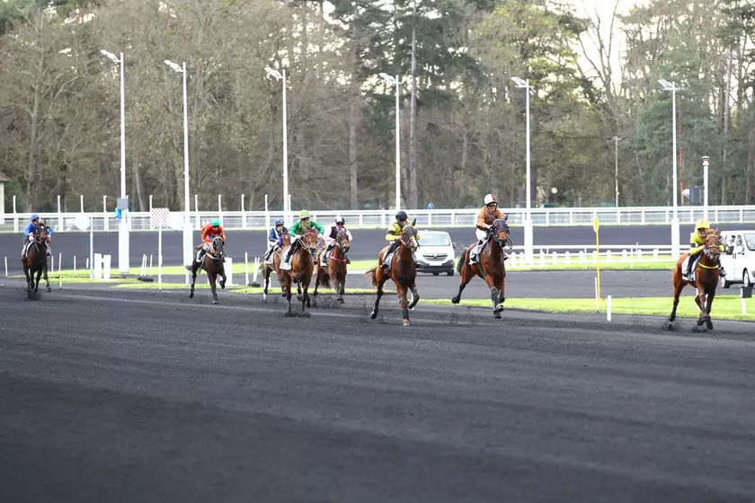 Favori/Outsider : qui jouer dans le Prix Hemine (Gr.2) ce samedi 15 ...