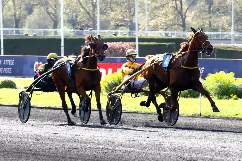 Prix Henri Levesque : Iroise de la Noé, signé Thomas | Equidia