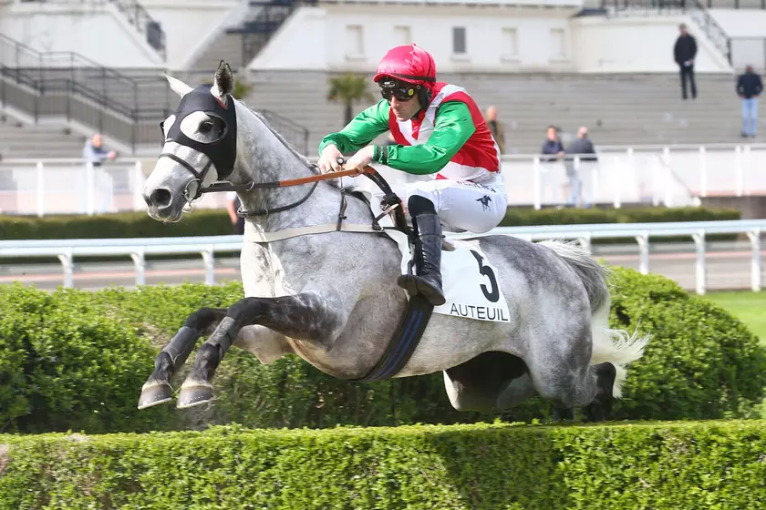 Quinté+: Doctor Kaleo, l’outsider du Quinté+ du mercredi 8 janvier à ...