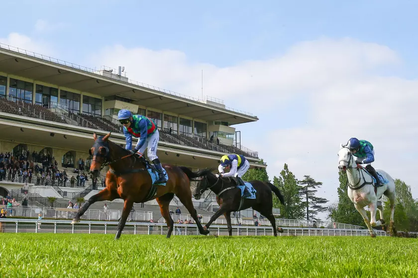 GSC Masters - Prix Ingré : Sublime Poly Grandchamp | Equidia