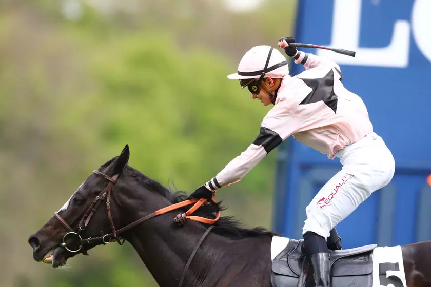 Iresine, chapeau Vélon ! | Equidia