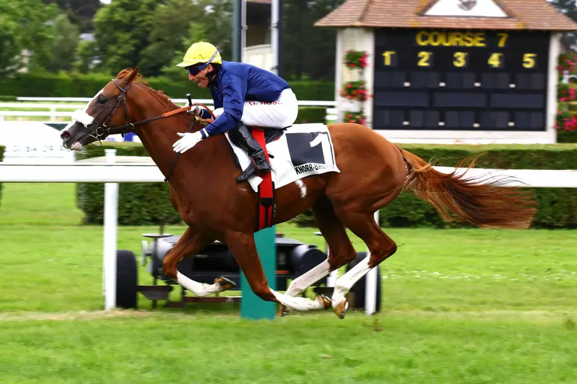 Quinté+: Le Pro du jour - Gérald Mossé : "Mr Le Philosophe est bien ...