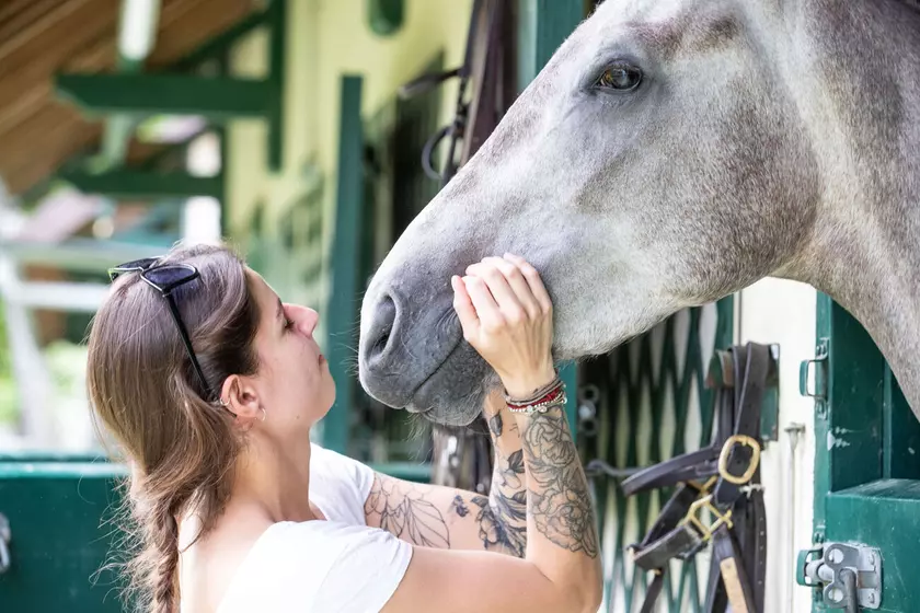 Le Grand Debrief - La journée nationale Race and Care | Equidia