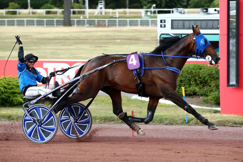 Prix des Géants dimanche à Wolvega : l'attraction Etonnant | Equidia