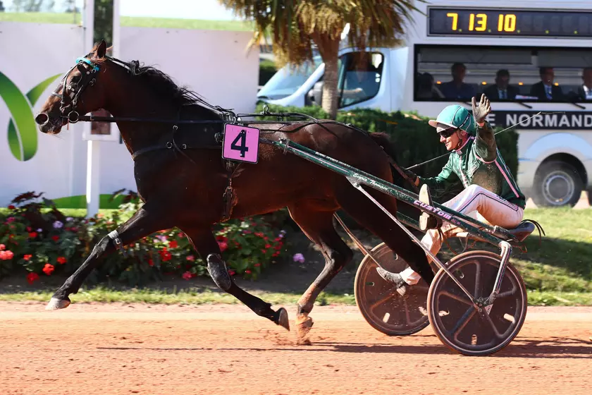 Quinté Hasard D Erable S Impose En Costaud Dans Le Quinté De Ce