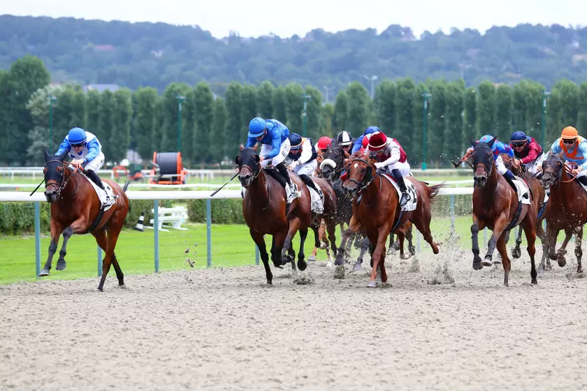 Saint Hellier s'illustre dans le Quinté+ du jour à Deauville ! | Equidia
