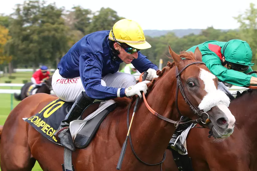 Quinté+: Arrivée du Quinté+ du lundi 18 septembre à Compiègne : Mr le ...