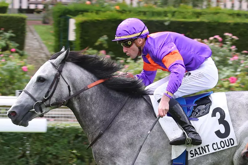 Quinté Présage Nocturne La Base Solide Du Quinté De Ce Samedi 22