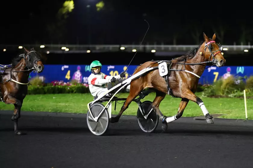 Quinté Arrivée Du Quinté De Ce Vendredi à Vincennes Guimauve