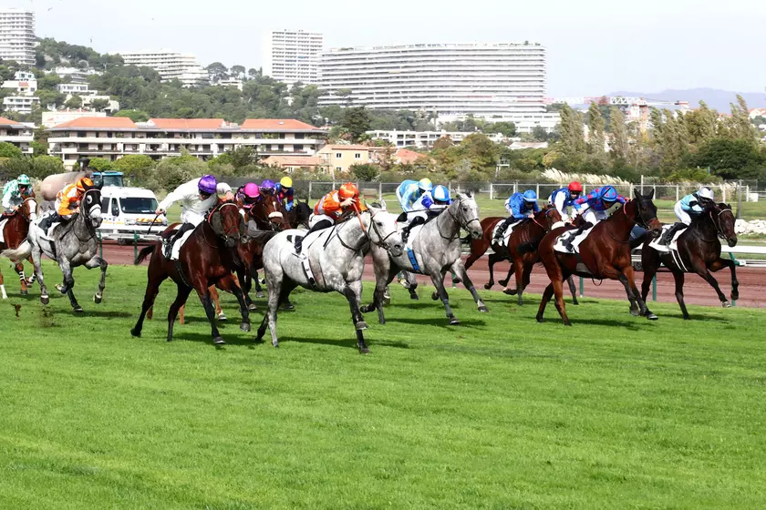 Où et comment regarder gratuitement les courses hippiques en direct ...
