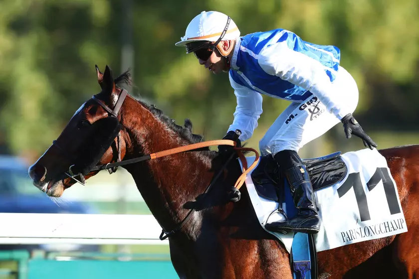 Prix Royal Oak : Double Major seul au monde | Equidia