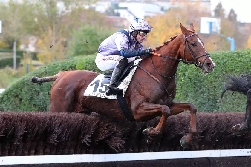 King of Run, l'outsider séduisant du Quinté+ de ce samedi 24 février ...