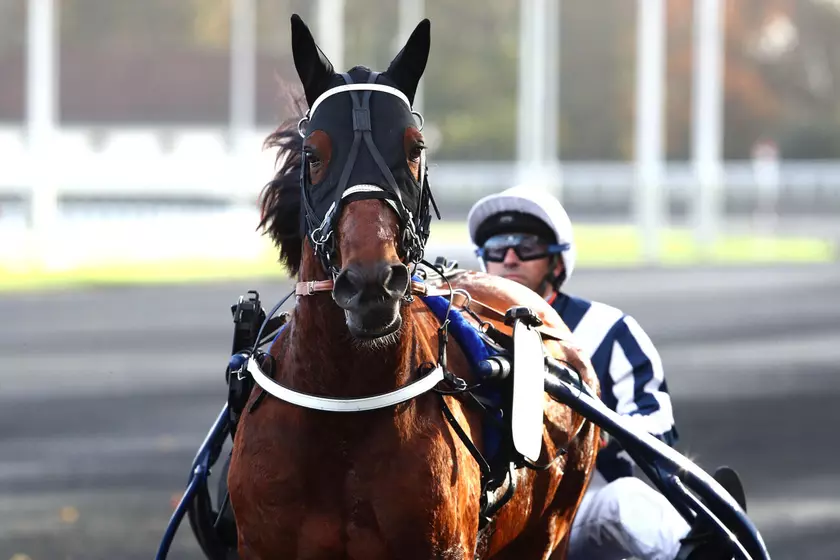 Trot - Horsy Dream contraint de renoncer au printemps | Equidia
