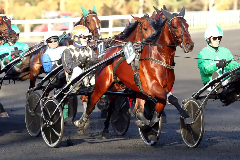 Bjorn Goop à propos de San Moteur : "L’objectif sera de le qualifier" | Equidia