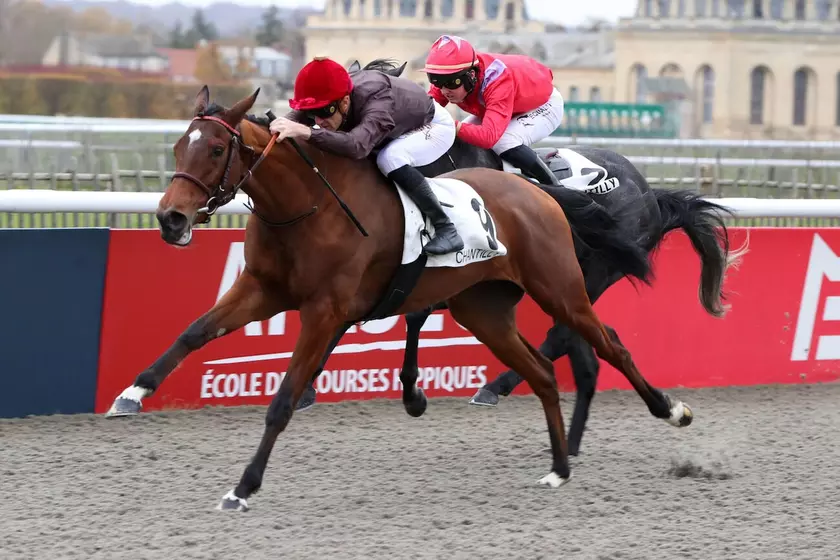 Quinté Quinté Du Lundi 22 Juillet à Compiègne Zvaroshka Peut
