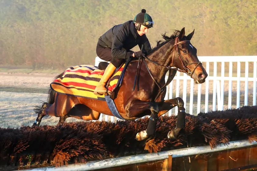 Kempton : James Reveley et Il Est Français à l'assaut du Kauto Star ...