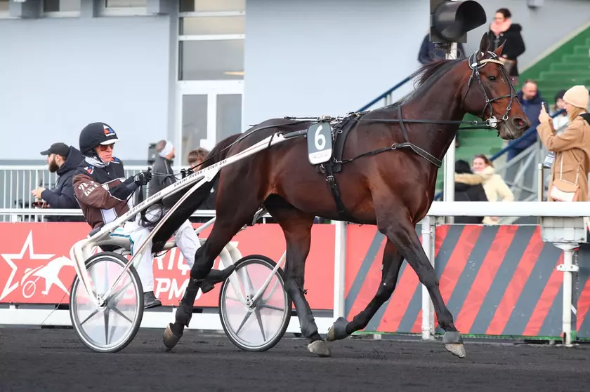 Prix de Belgique - Amérique Races PMU Q6 (Gr.2) : Hail Mary avec Eric ...