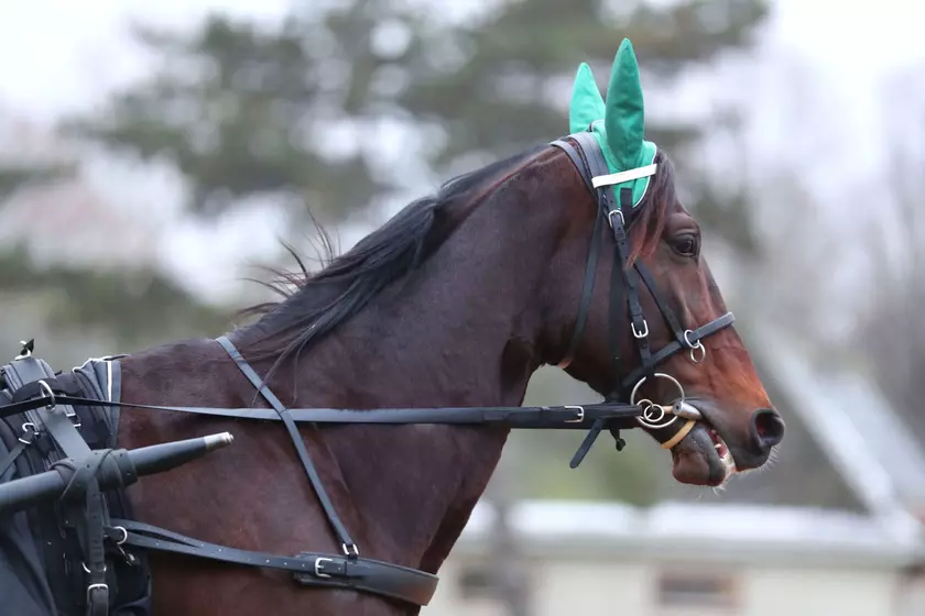 Prix de Paris - Amérique Races PMU - Benoit Robin : "Hussard du Landret ...