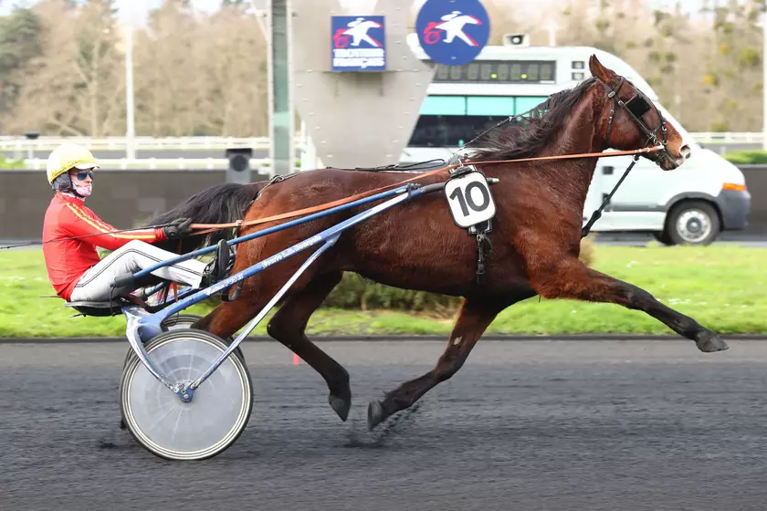 Quinté+: Garry Thoris, l’outsider séduisant du Quinté+ de ce lundi 11 ...